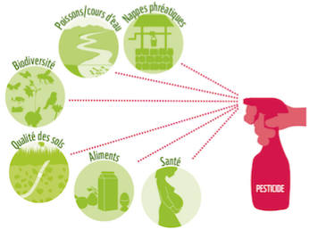 LES PESTICIDES INTERDITS… | Noz'infos